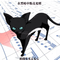 二次元音乐秀 