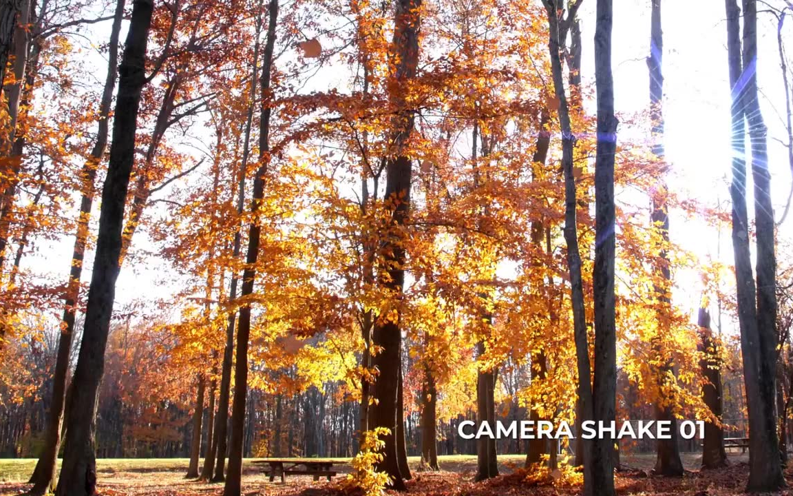 PR模板-逼真的相机抖动该项目非常适合摇晃其他对象,例如文本或粒子...