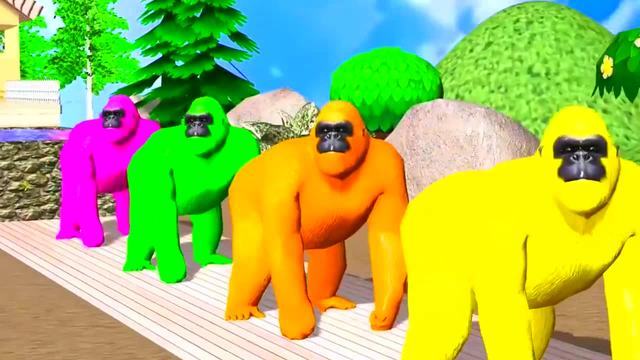 通过动物学习早教知识!幼儿3D动物动画!小朋友快来学习吧!