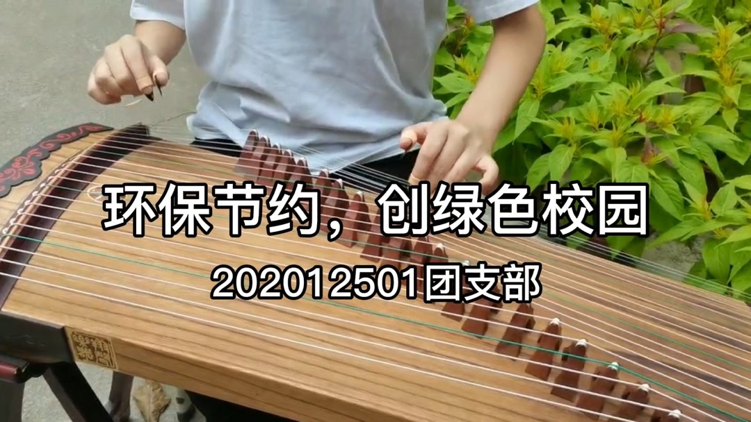 202012501团支部“请党放心,强国有我”主题团日活动视频