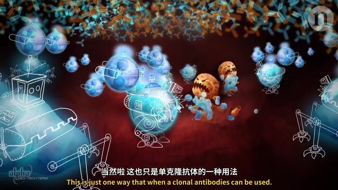 【双语】免疫攻防战 - 单克隆抗体 @阿尔法小分队科教组
