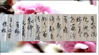 王保柱草书《墨梅》 [ 元 ] 王冕 吾家洗砚池头树, 朵朵花开淡墨痕。 ...