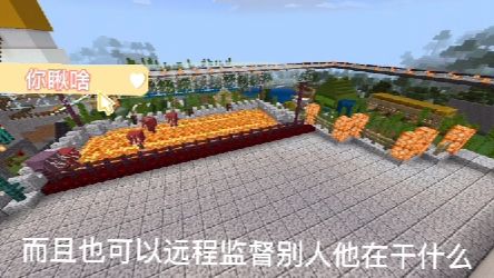 我的世界,监控器模组测评
