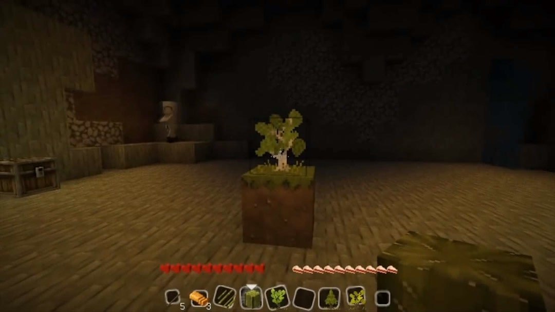 我的世界|冒险从种树开始!