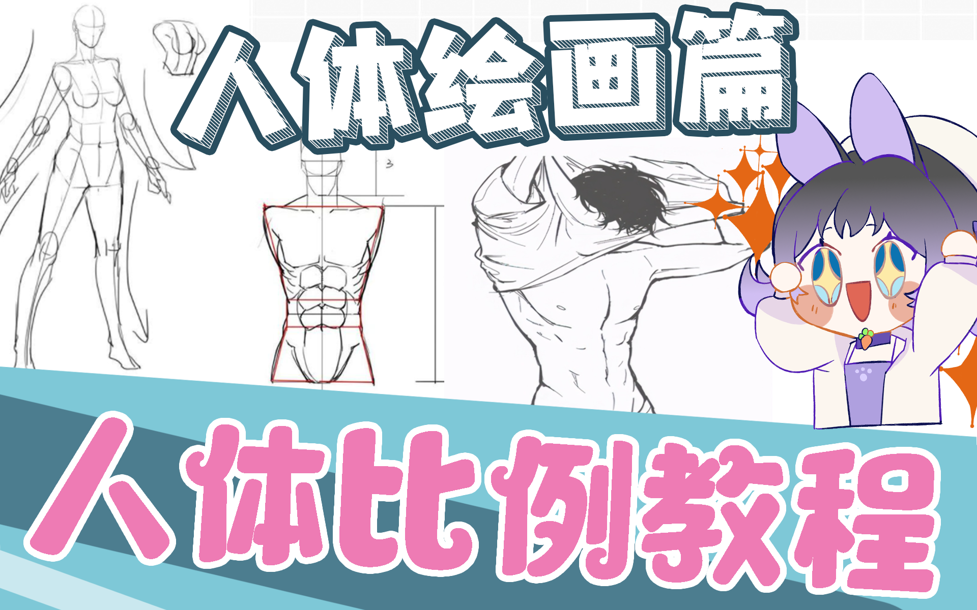 【板绘教程】人体比例教程,从五官到头-身各个比例,绝对让你大有所获