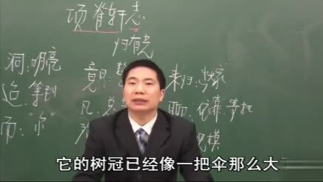 【黄冈名师课堂】中国古代诗歌散文欣赏《项脊轩志》(人教版高中