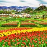 大江影视制作工作室 