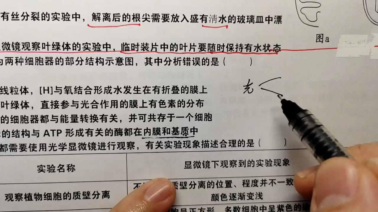 高中生物一轮复习必修一1.12细胞器习题