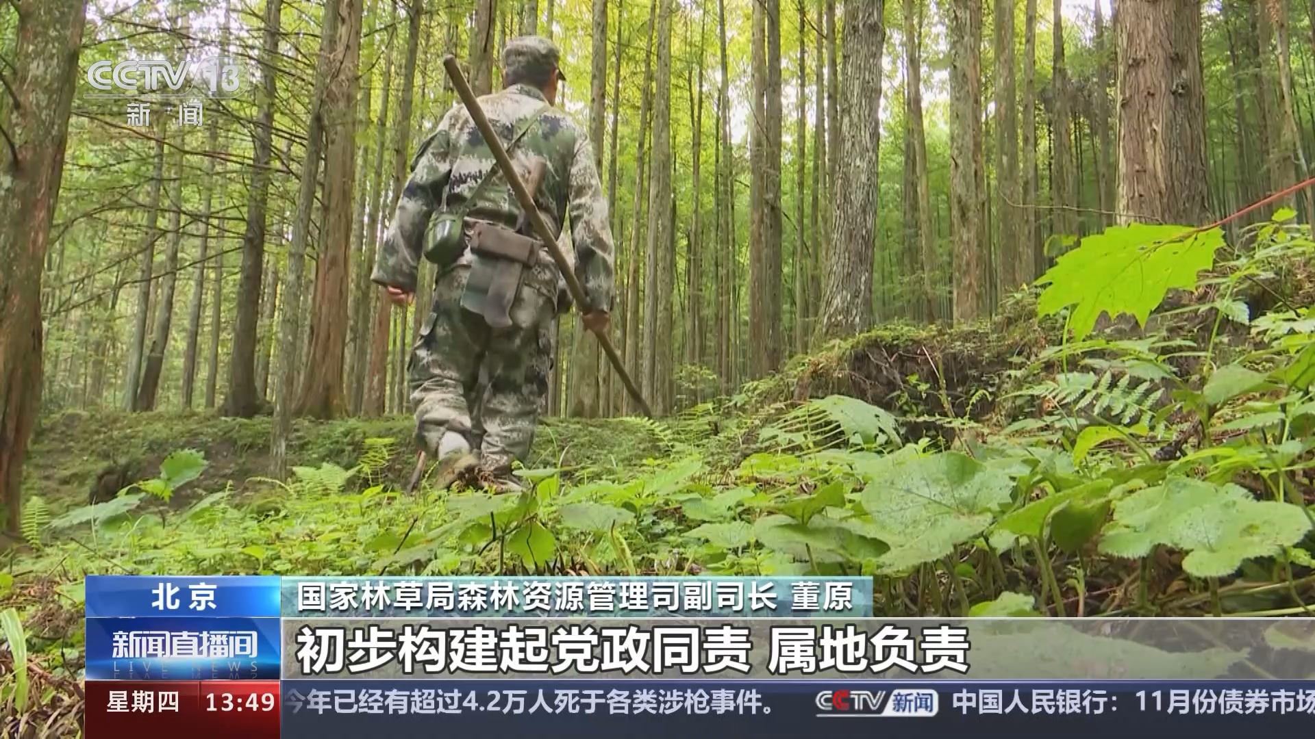 [新闻直播间]一线调研 林长制改变了什么?新制度 从“单打独斗”到“...
