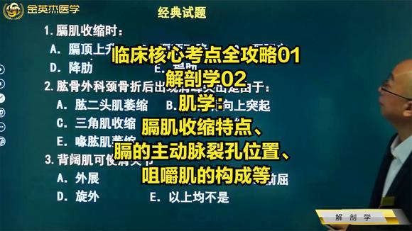 临床肌学0801膈肌收缩特点、膈的主动脉裂孔位置、咀嚼肌的构成等