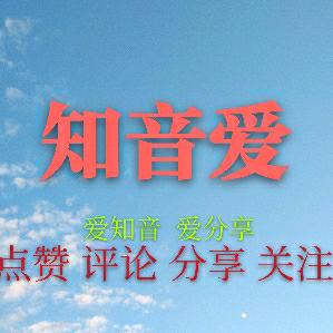 知音爱团长 