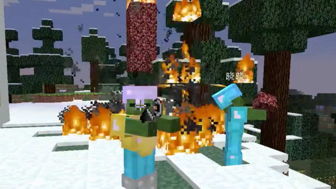 【大白团队】MC我的世界我是一只小僵尸僵尸兄弟二十一