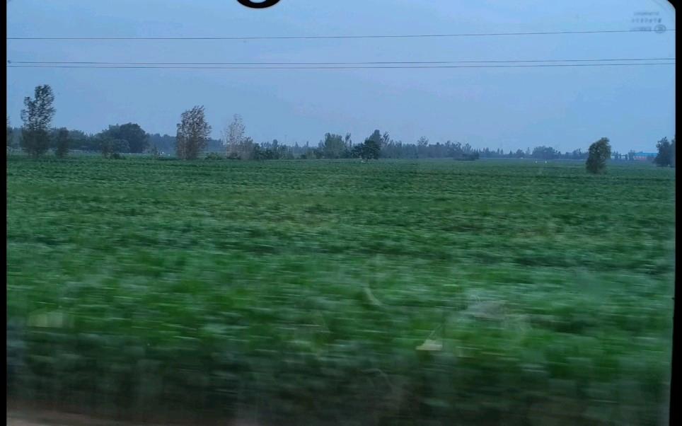 K2288是什么宝藏列车|长春—昆明