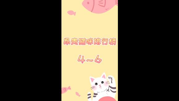 昂贵猫咪排行榜4～6名#爱宠 #排行榜 #猫咪