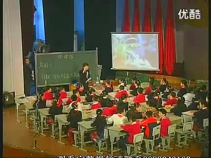 h2561第三届现代与经典_语文观摩课《珍珠鸟》_窦桂梅17