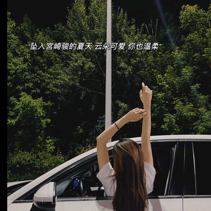 甜甜圈高高 