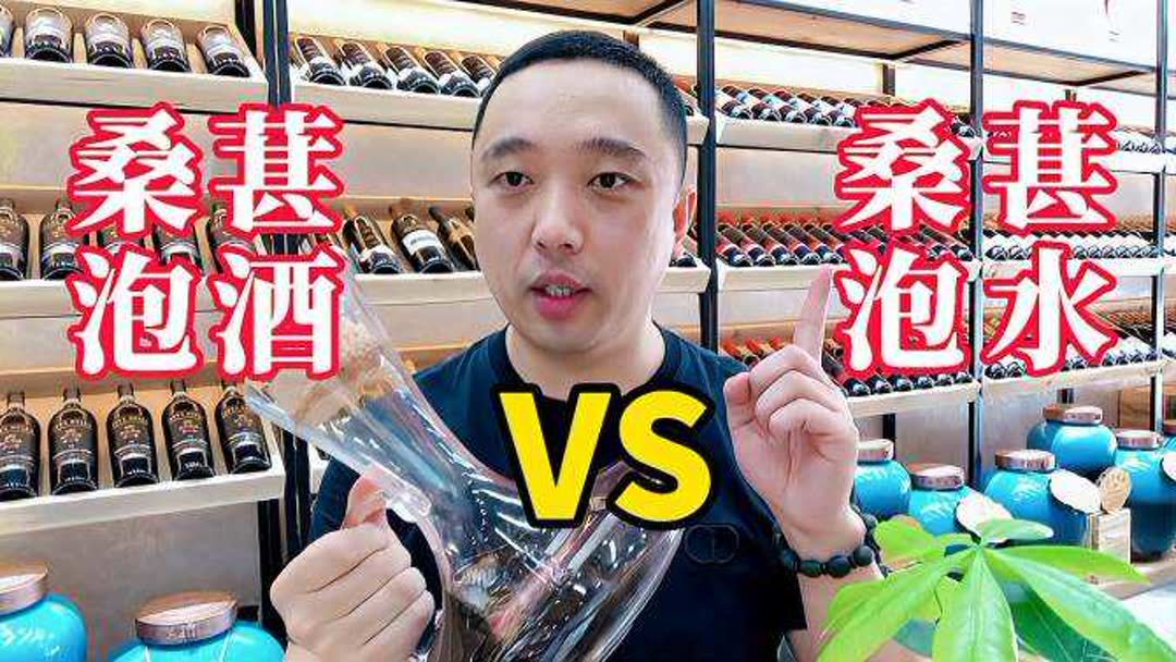 桑葚泡酒好还是桑葚泡水好?小心把桑葚泡成了饮料