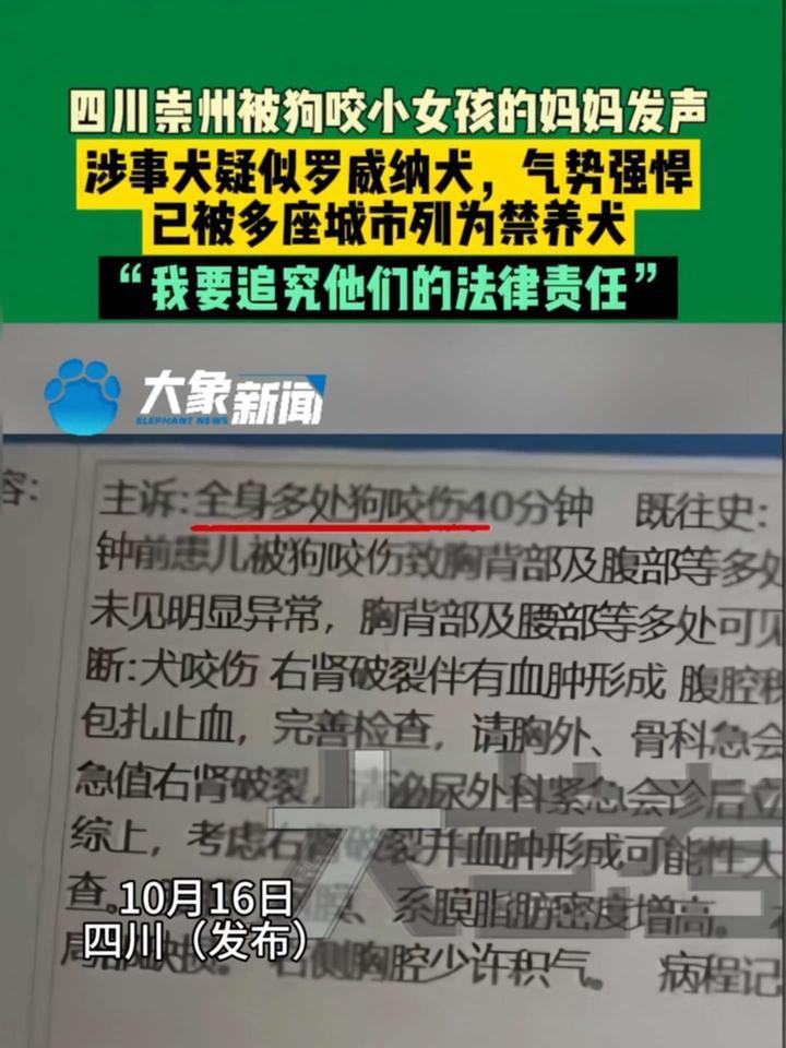四川崇州被狗咬小女孩的妈妈发声,涉事犬疑似罗威纳犬,气势强悍,已被...