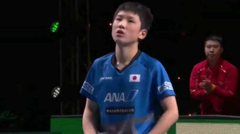 精彩回顾-樊振东就要打到张本智和叫不出声,实力不在一个档次上