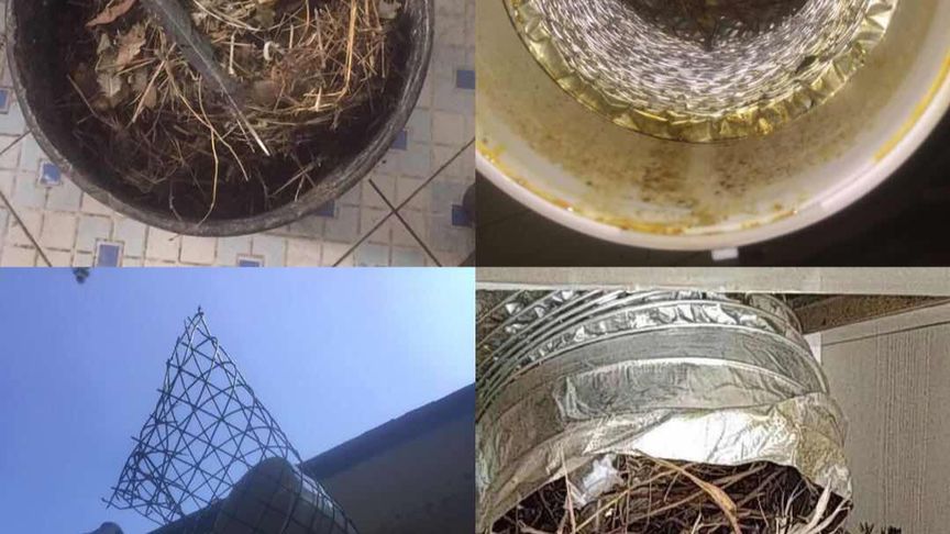 如果家里有烟道或者空调孔没有防护措施的必看一下