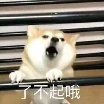 昭昭必有大招 