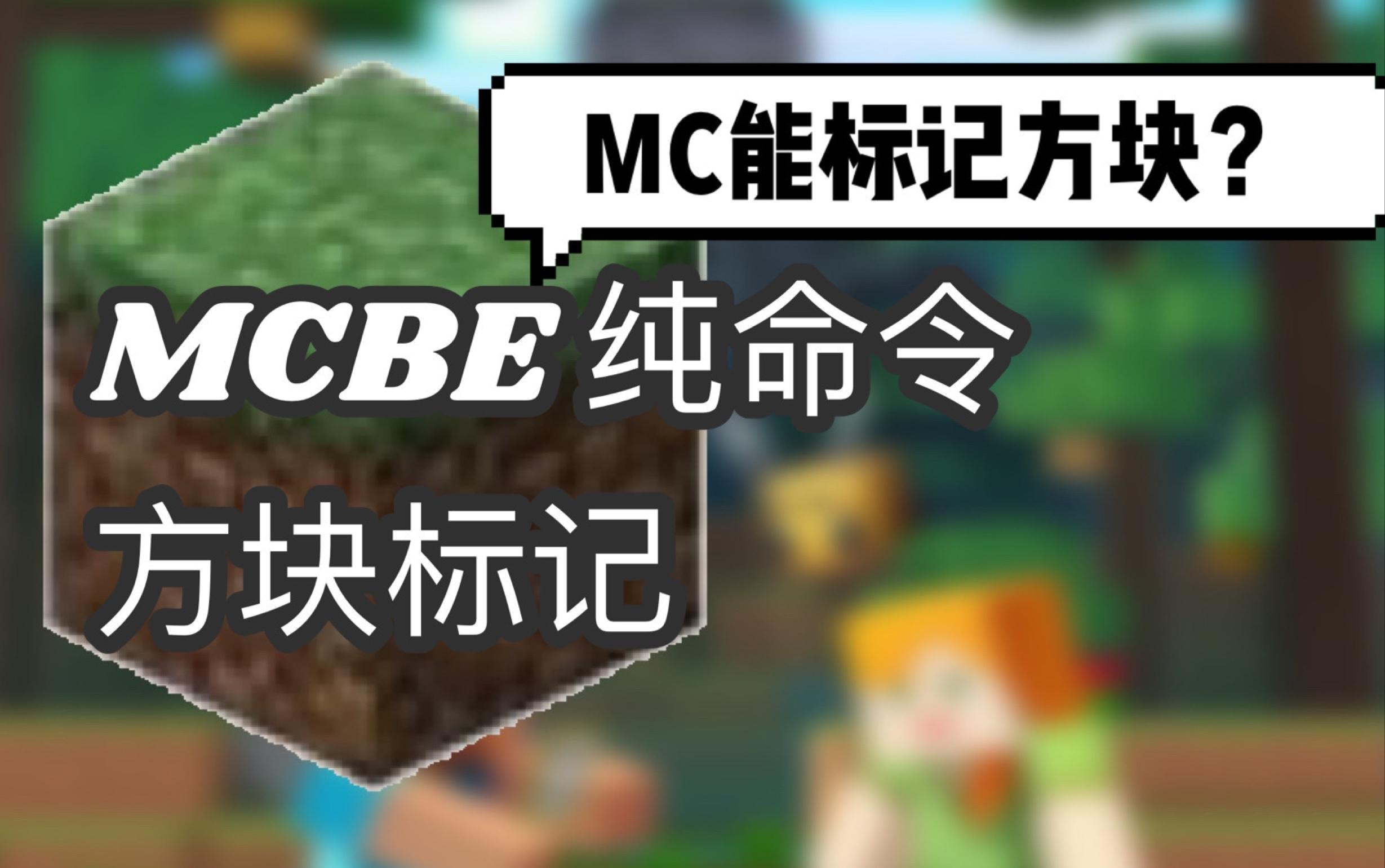 《我的世界 MCBE》方块标记演示