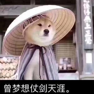 偶遇9p4A 