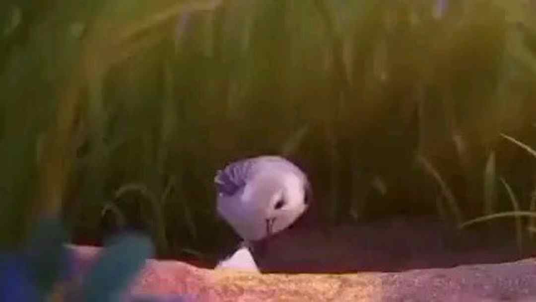 很有教育意义的动漫