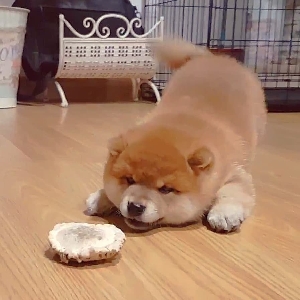 总不能骂我吧 
