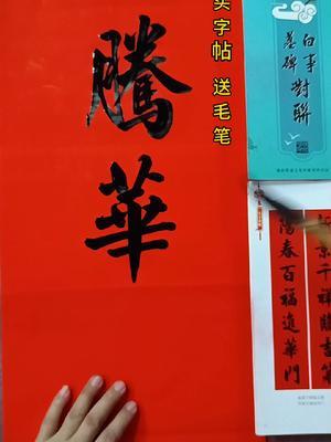 #春联 #支持传播正能量 #手写对联 #零基础学书法 #传统文化