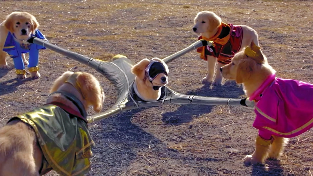 狗狗获得弹簧人超能力,身体可以任意拉伸,成为超级英雄