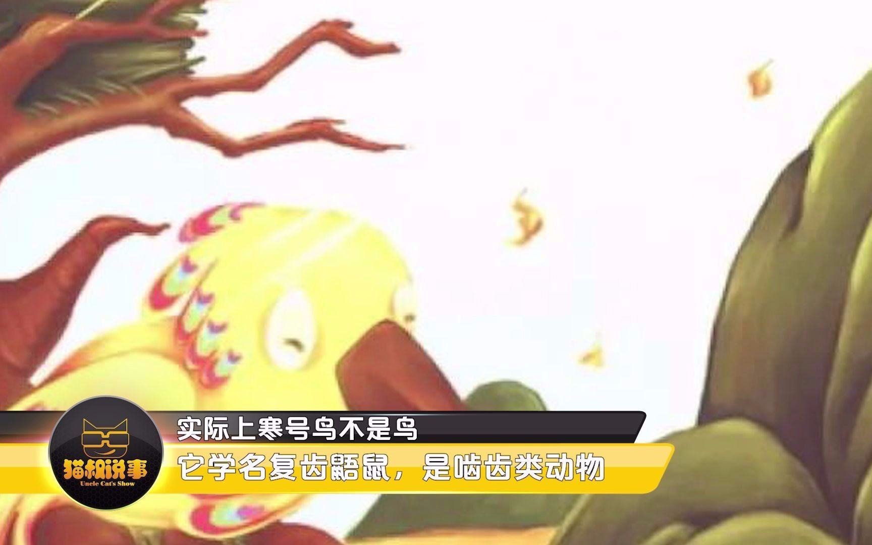 “寒号鸟”其实不是鸟你知道吗?