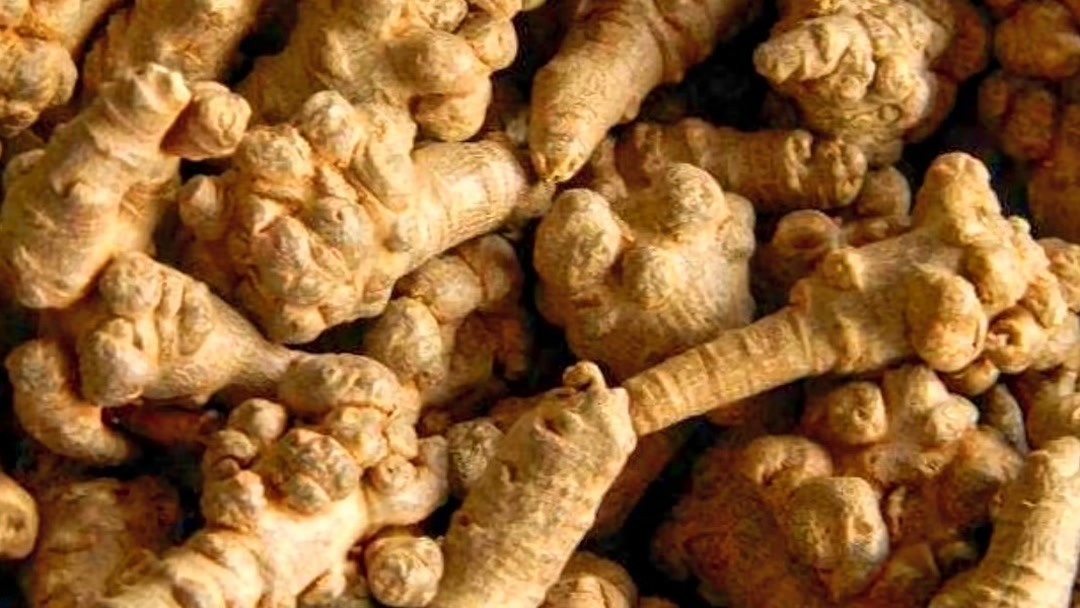 它是肾黄金,国医吃了一辈子,每天吃一片,好处多到数不清!