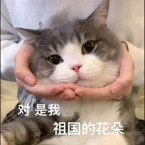 是茶奶呀 