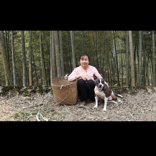 袁小姐的逗比生活 