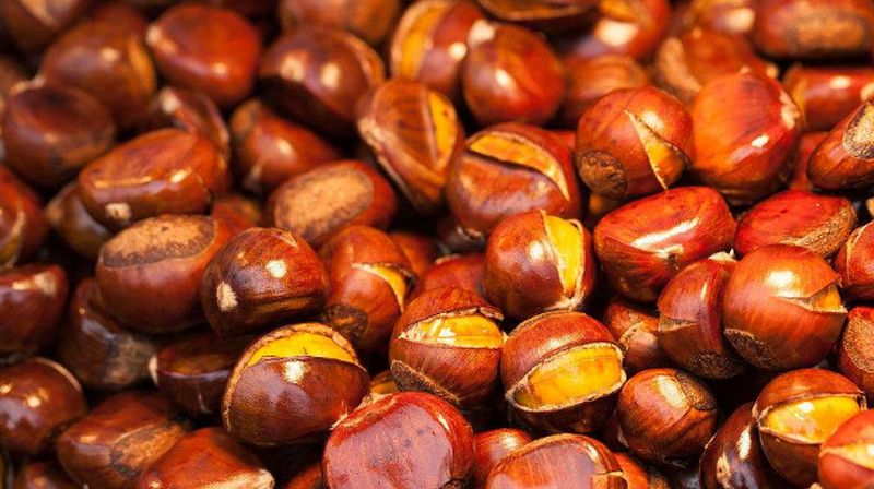 开口糖炒栗子,自己在家就可以做了真的很美味!