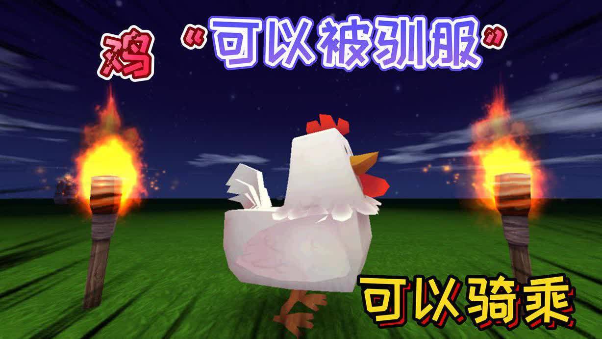 迷你世界挑战解说:家禽小鸡"可以被驯服"成为我们的坐骑,而且跑的很快