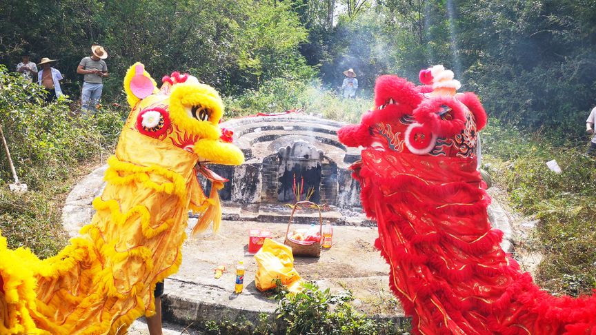 农村陈氏家族扫墓祭祖,带上醒狮队伍,气势就是不一样