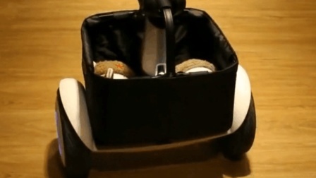 平衡车的全新打开方式,妈妈买菜再也不费劲了