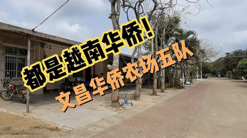 越南华侨连队,安置的都是越南排华时期的难民,拍摄为何被制止?