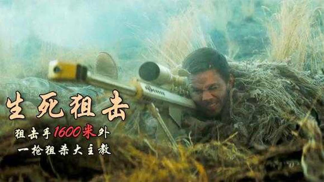 生死狙击:狙击手惨遭陷害,逃跑后疯狂复仇,枪枪毙命,不留活口