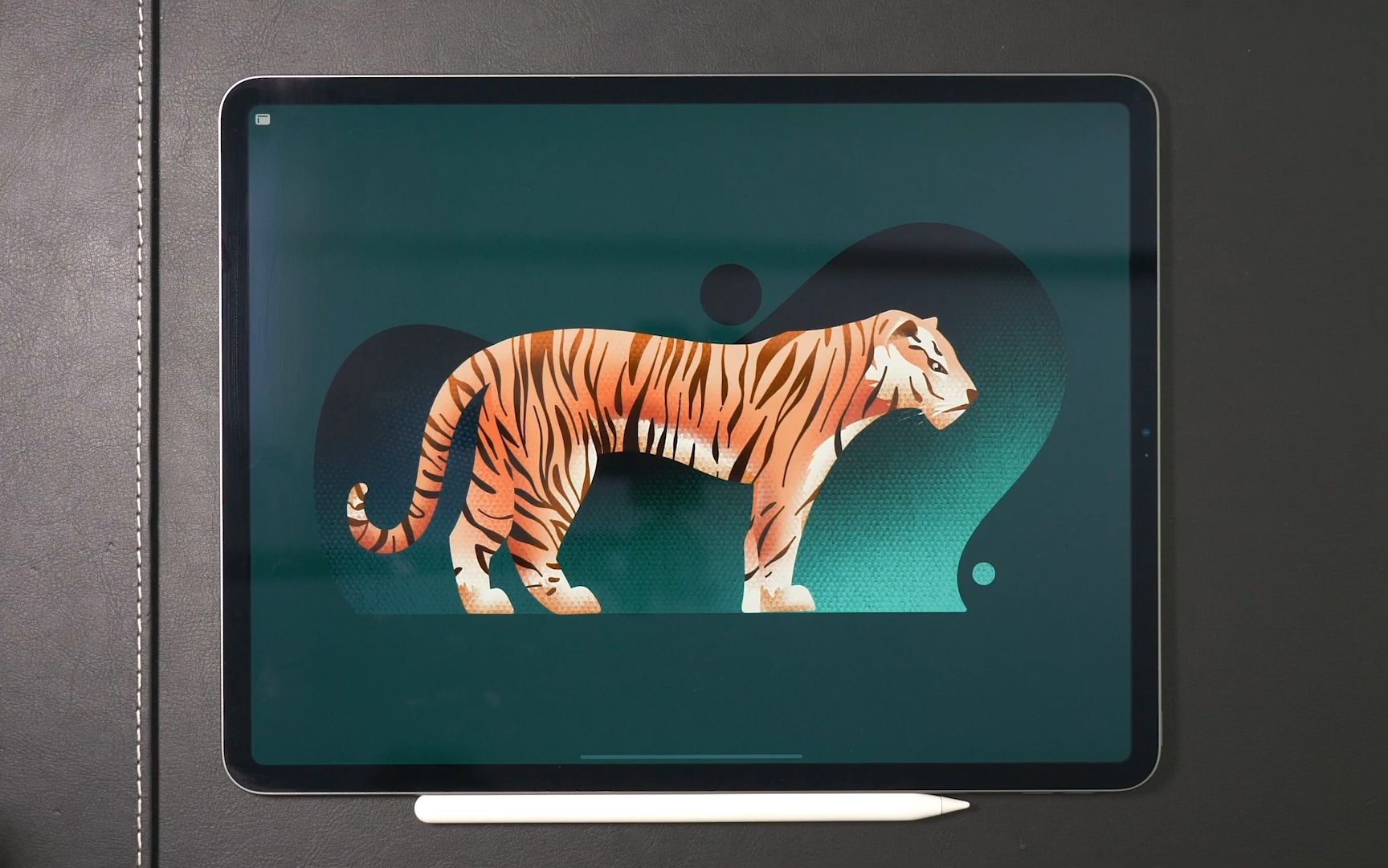 galshir插画 ipadpro数字绘画最新更新 老虎