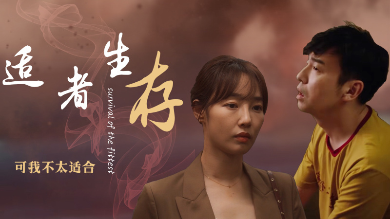 在这个适者生存的社会,我是那个不太适合的人