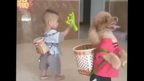 以后不想生二胎的,养个宠物陪孩子玩,真是太搞笑了