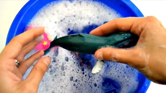 乐享动物乐园带你认识有药用价值的抹香鲸和鳄鱼