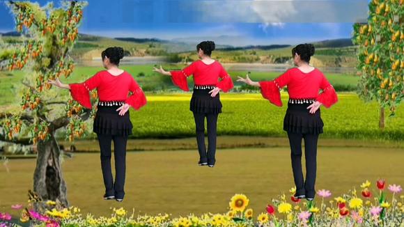 最新流行广场舞《红枣树》柔美抒情64步,背面演示附分解
