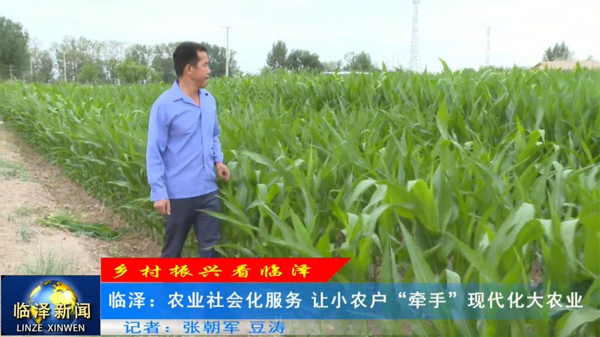 临泽:农业社会化服务 让小农户“牵手”现代化大农业