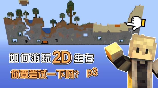 我的世界:当世界变成2D的该如何生存?p3