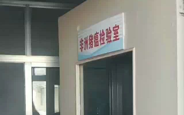 实时荧光定量pcr仪风途实验室pcr荧光快速检测仪