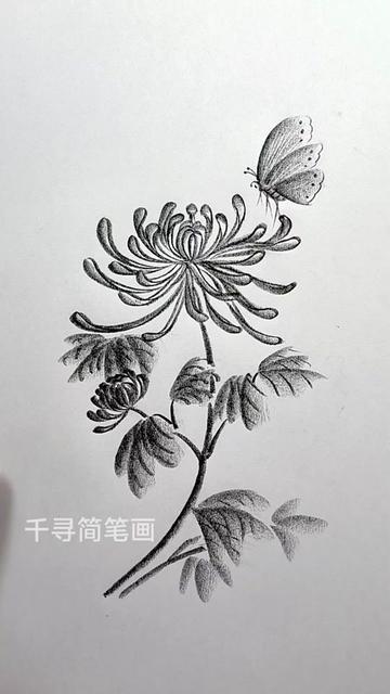 简单几笔画菊花,零基础轻松掌握零基础学画画炭笔画创作灵感